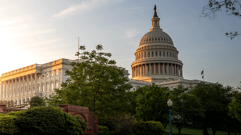 12 Best Industries To Work Within in 2025