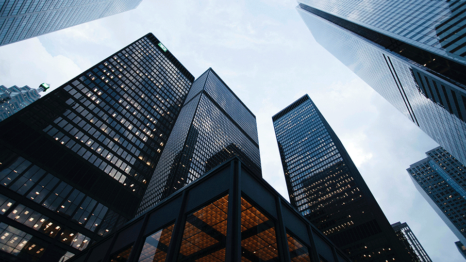 12 Best Industries To Work Within in 2025