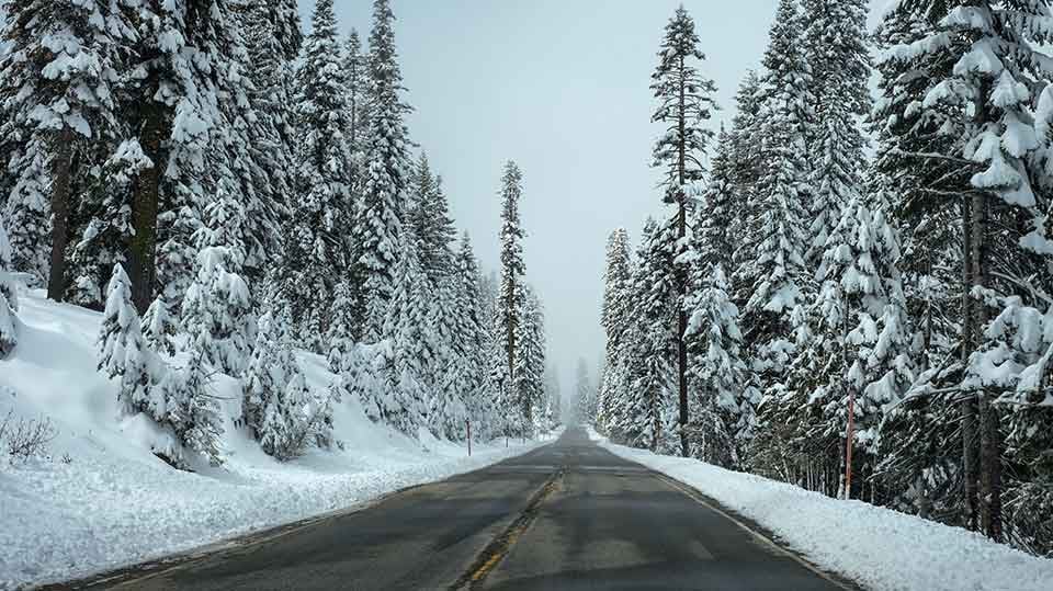 Christmas 2025 Oversize Travel Restrictions by State | ATS Blog