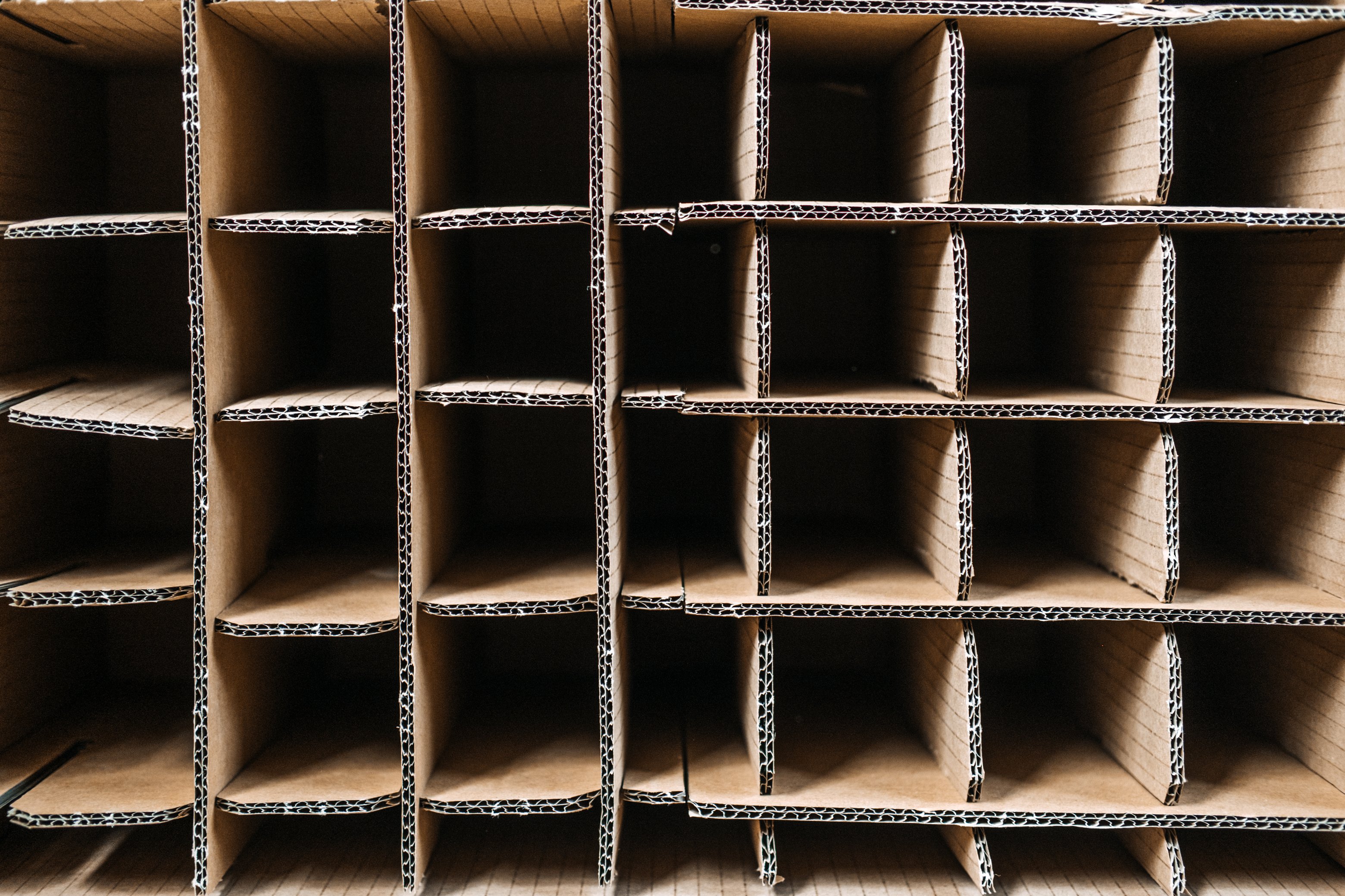 What Is Dunnage? Definition, Types, and Importance