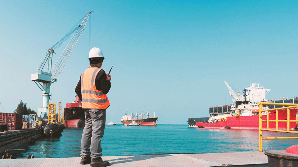 What Is a Stevedore? Role, Meaning & Supply Chain Impact